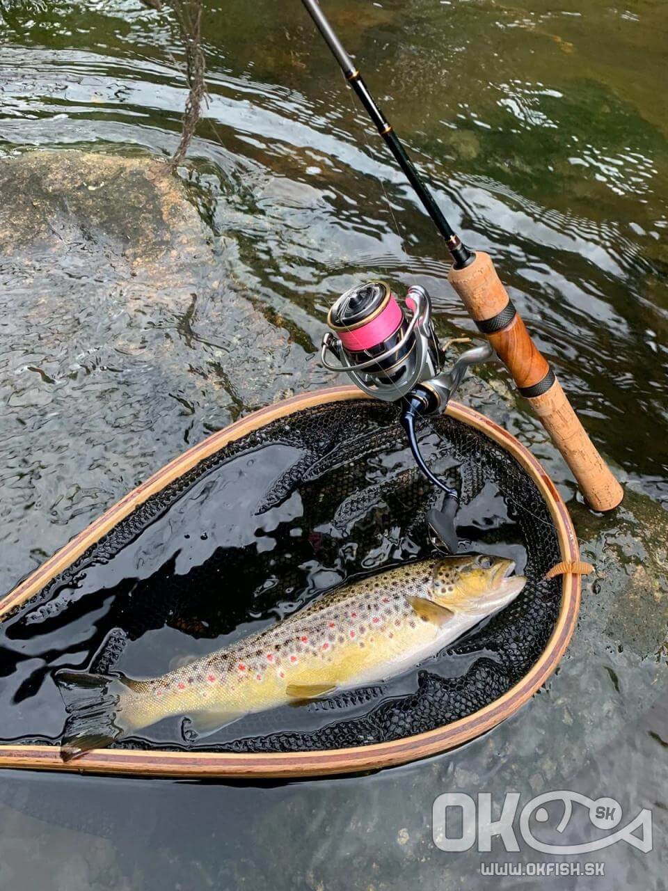 Prečo nástrahy od Harmony baits? | OKfish.sk