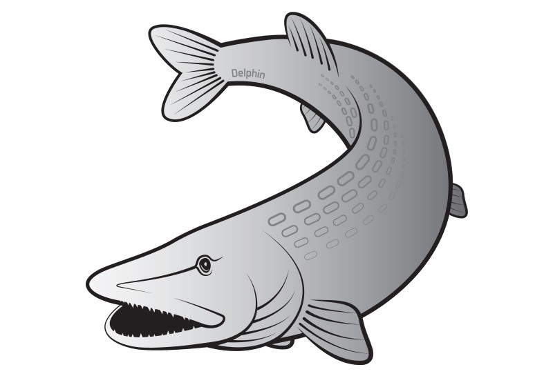 Nálepka SILVER Šťuka | OKfish.sk