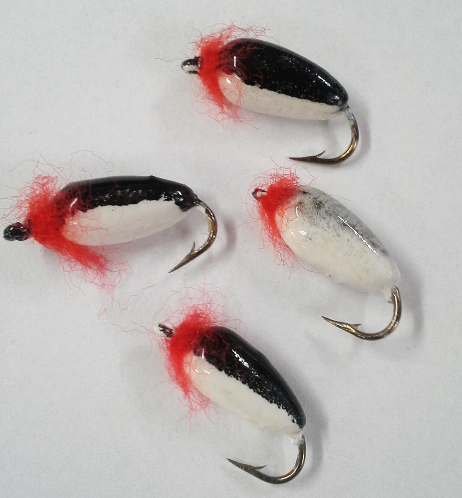 Záťažová nymfa | OKfish.sk